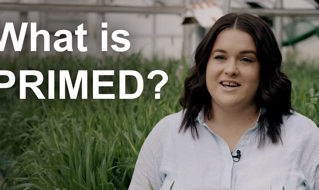 PRIMED overview | Education Resources